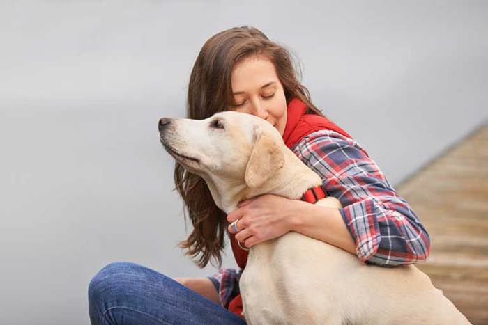7 CLAVES PARA CONVIVIR CON TU PERRO :: CONCIENCIA Etología Clínica ...